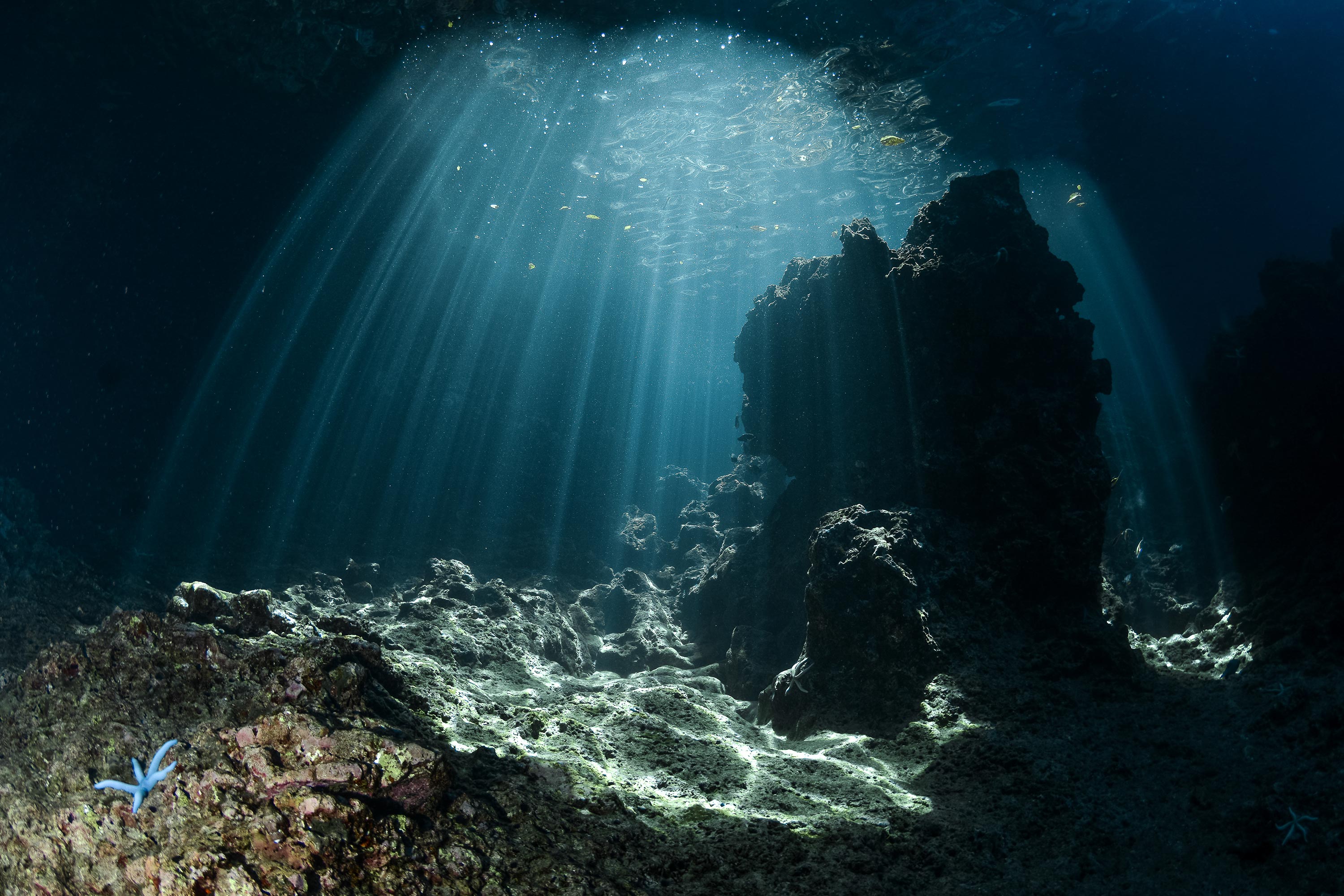 Primetime – Dive, Explore, Cruise.