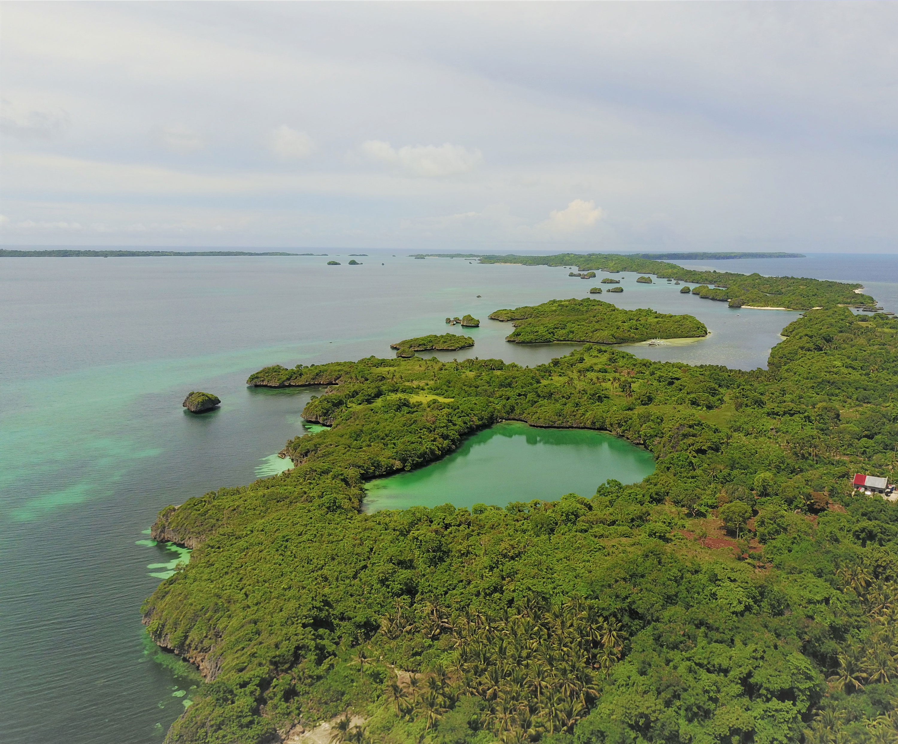 Philippines – Tubbataha Reefs – Primetime